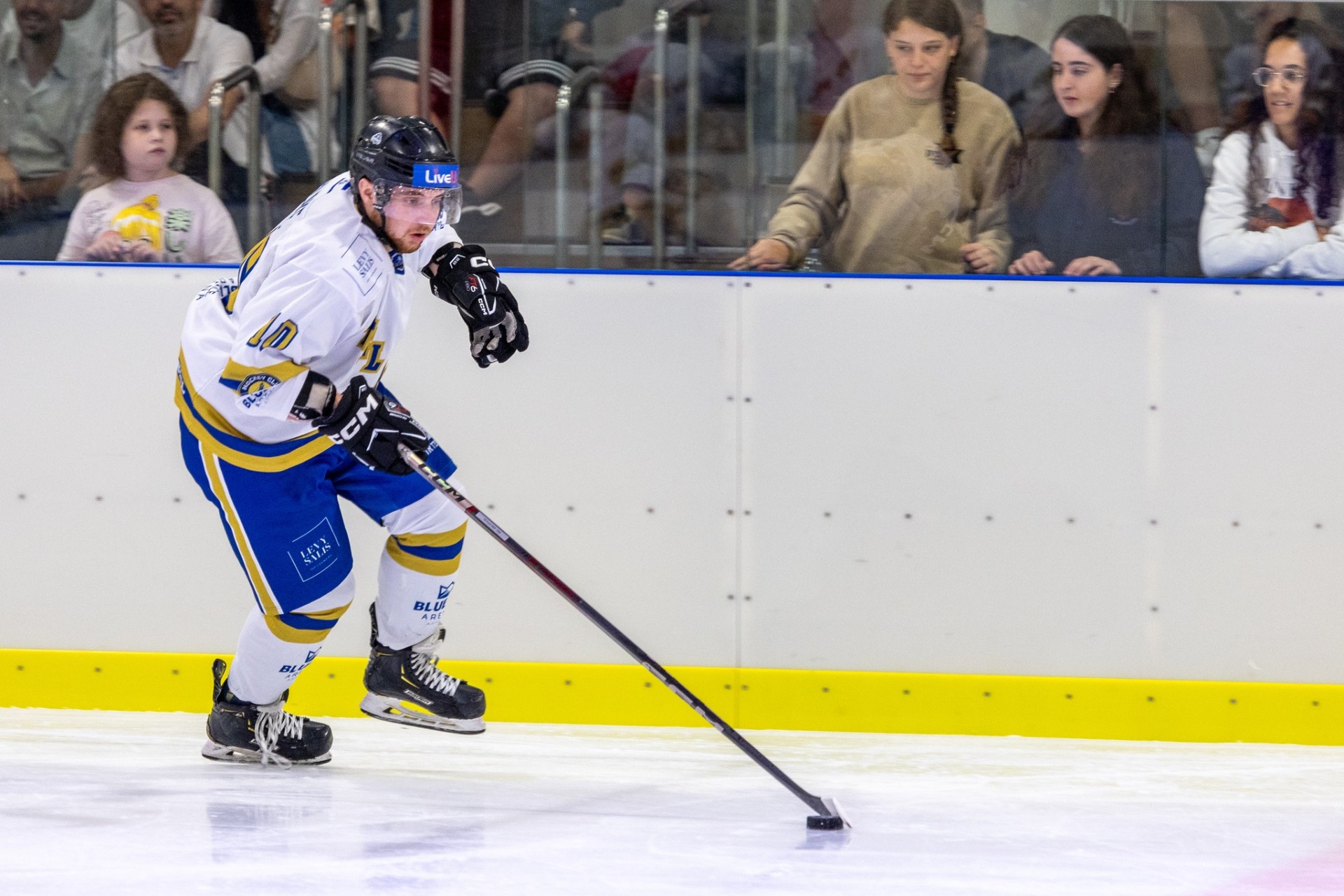 IEHL — Israel Elite Hockey League